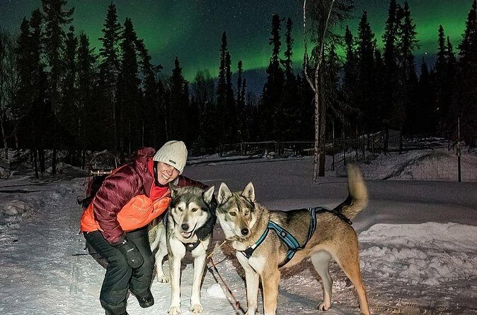 Aurora Activity at Sluice Box Sled Dogs - Value for Money