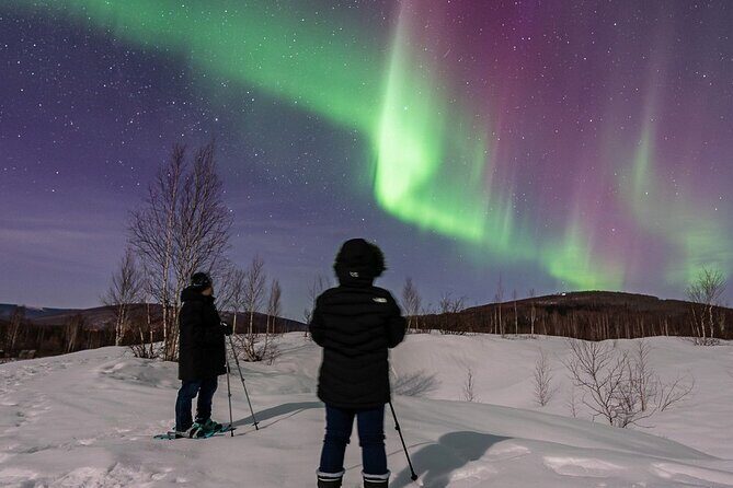 Aurora and Beyond Premiere Chase Adventure - Frequently Asked Questions