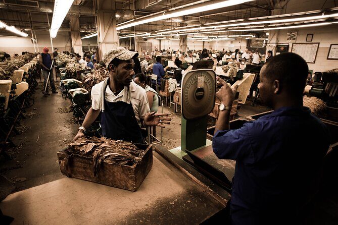 Aurora Cigar & Rum Sensory Tasting and Pairing in Punta Cana - FAQ