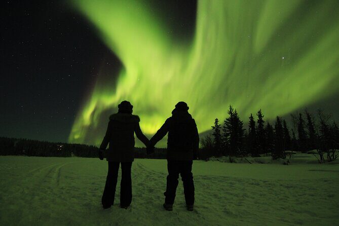 Aurora Hunting Tours - What Makes This Tour Stand Out?