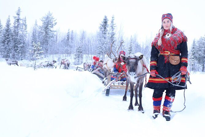 Aurora Hunting with Reindeer Caravan - Key Points