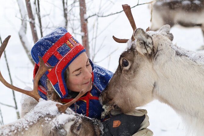 Aurora Hunting with Reindeer Caravan - A Full Breakdown of the Experience