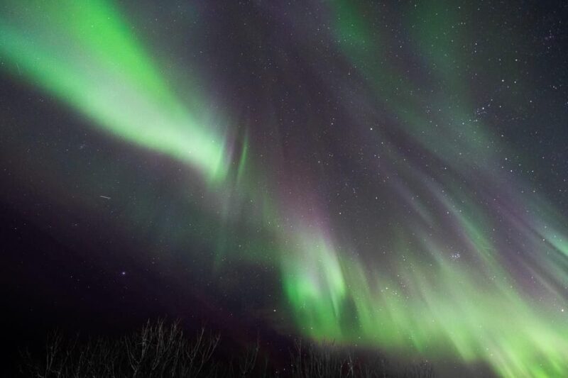 Aurora Lofoten, Northern Lights Centre Visit - Key Points