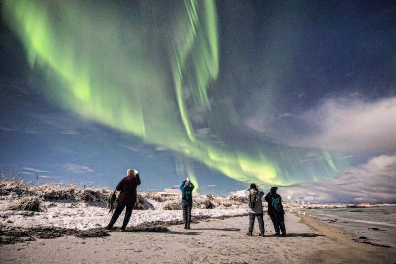 Aurora Lofoten, Northern Lights Centre Visit - The Itinerary: Breaking Down the Experience