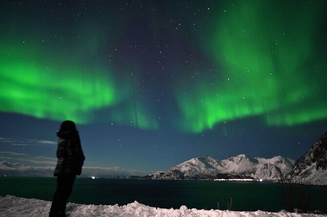 AURORA Northern Lights 8 HOURS Relaxed Moments (8 people)+photos - An In-Depth Look at What This Tour Offers