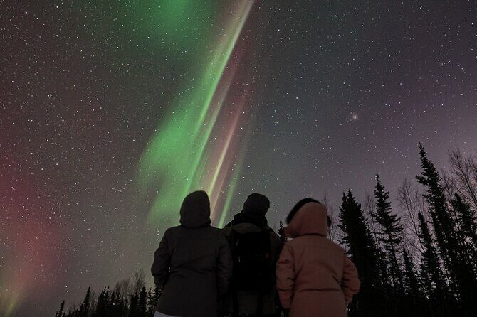Aurora Oval Nightly Northern Lights Chase - What to Expect on the Aurora Night Chase