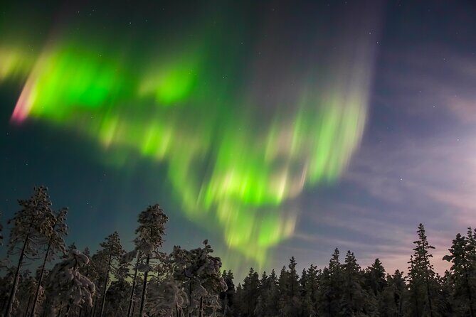 Aurora Photo Experience by Car from Saariselkä - Key Points