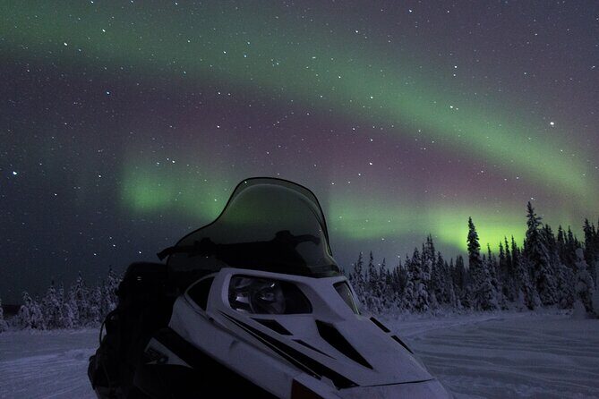 Aurora Sleighers Snowmobile Tour in Fairbanks - Key Points