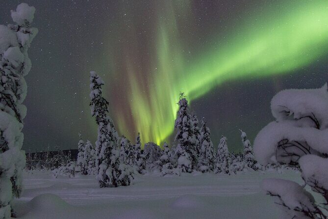Aurora Sleighers Snowmobile Tour in Fairbanks - Scenery and Photos: Making Memories