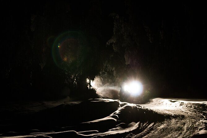 Aurora Sleighers Snowmobile Tour in Fairbanks - Price and Value