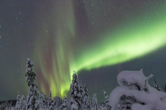 Aurora Sleighers Snowmobile Tour in Fairbanks - Final Thoughts
