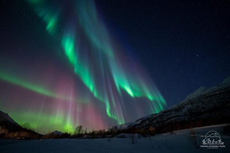 Aurora Tour For All with Tromsø Accessible Tours - Frequently Asked Questions