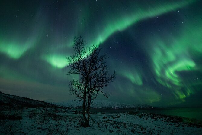 Auroras Hunt - Tour in Spanish, Northern Lights Chase in Spanish - The Sum Up: Is This Tour Worth It?