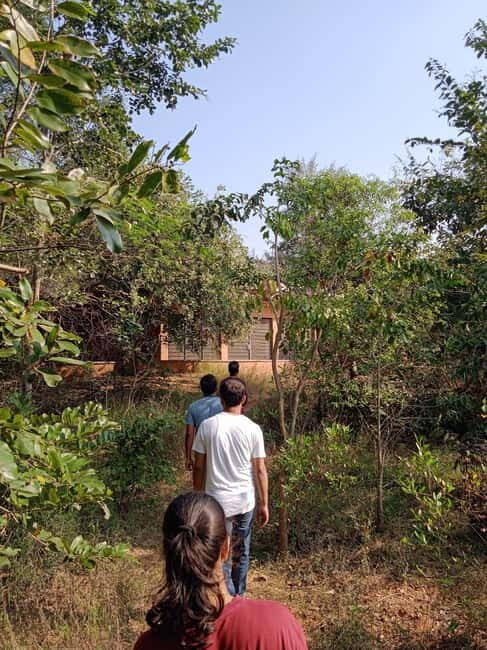 Auroville: Nature Trail Forest Cycling Adventure - Key Points