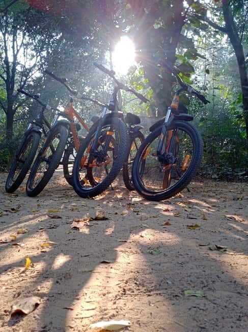 Auroville: Nature Trail Forest Cycling Adventure - An Overview of the Forest Cycling Adventure