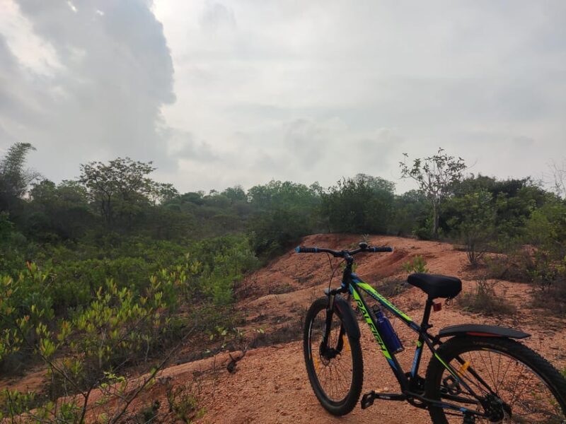 Auroville: Nature Trail Forest Cycling Adventure - Practical Tips for Participants