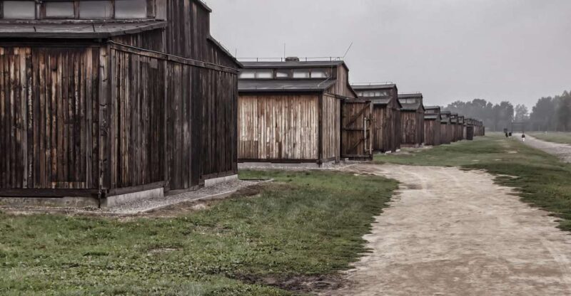 Auschwitz-Birkenau: Entrance Ticket and Live Tour Guide - The Experience of the Tour