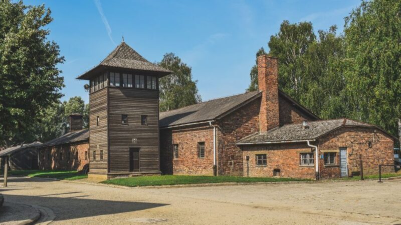 Auschwitz-Birkenau: Entrance Ticket and Live Tour Guide - Who Should Consider This Tour?