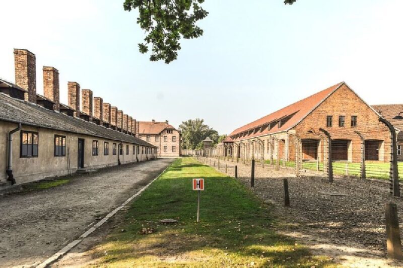 Auschwitz-Birkenau Guided Tour & Transfer from Krakow - Transportation and Group Experience