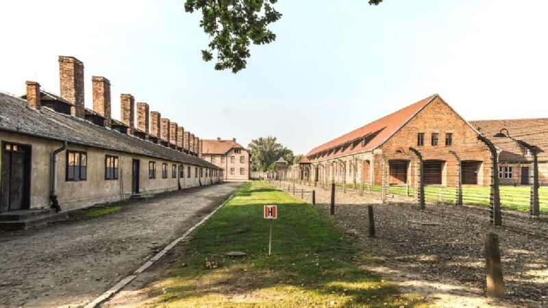 Auschwitz-Birkenau Museum Tour from Krakow - Exploring the Auschwitz-Birkenau Experience in Detail
