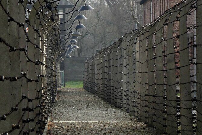 Auschwitz-Birkenau Private Tour from Krakow - The Logistics and What It Means for You