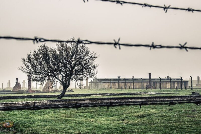 Auschwitz-Birkenau: Skip-the-Line Entry Ticket & Guided Tour - Key Points