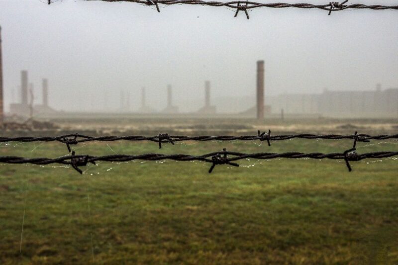 Auschwitz-Birkenau: Skip-the-Line Entry Ticket & Guided Tour - Authentic Insights from Travelers