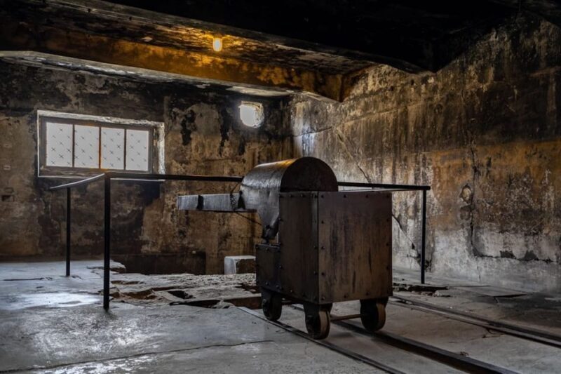 Auschwitz-Birkenau Skip-the-Line Ticket and Guided Tour - What Past Travelers Say