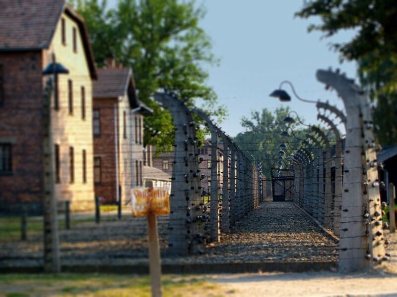 Auschwitz-Birkenau Tour from Katowice with Private Transfers - Who Will Benefit Most?