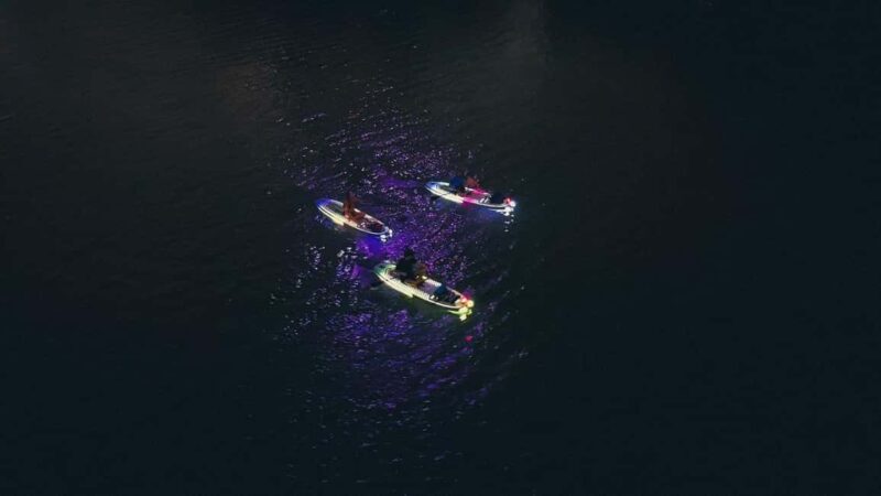 Austin: Glow Paddleboard Tour - The Sum Up