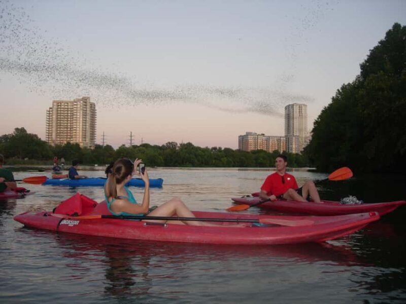 Austin: Guided Bat-Watching Kayak Tour - Austin: Guided Bat-Watching Kayak Tour — A Detailed Review
