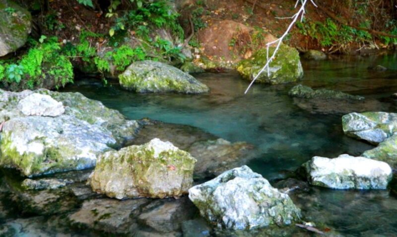 Austin: Journey to the Springs Guided Tour - Key Points