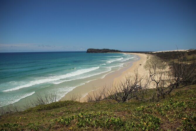 Australia: Coffs Harbour Beach Horse Ride & Lagoon Swim + Photos - Key Points