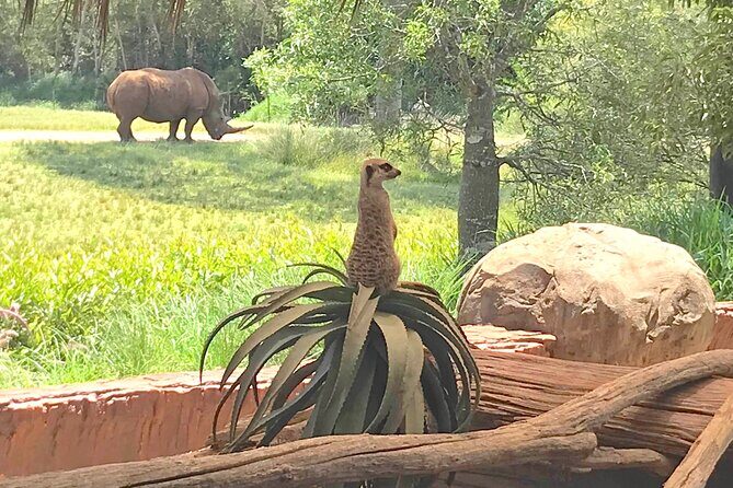 Australia Zoo Transfer from Noosa and Sunshine Coast - Authentic Experiences and Review Insights