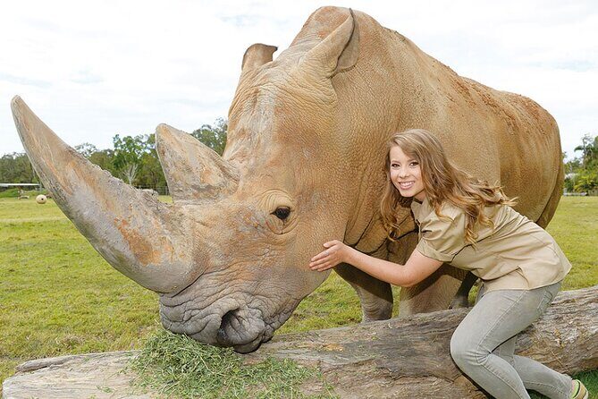 Australia Zoo Transfer from Noosa and Sunshine Coast - Who Should Consider This Tour?