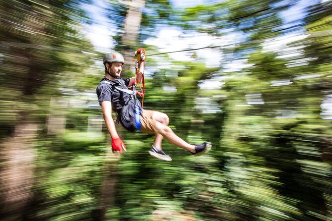 Australia Zoo Transfer from Noosa and Sunshine Coast - Final Thoughts