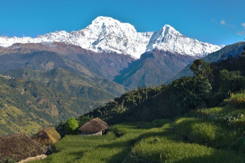 Australian Base Camp Day Hike From Pokhara - Downhill to Phedi and Cultural Interactions