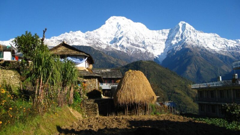 Australian Base Camp Day Hike From Pokhara - Return Journey and Reflection