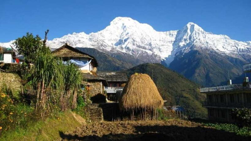 Australian Base Camp Day Hike - Authentic Experiences and Traveler Insights