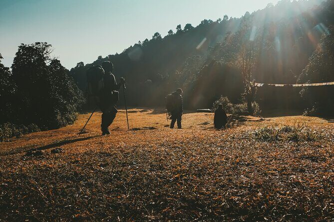 Australian Base Camp Dhampus Trek 1 Night 2 Day - Key Points