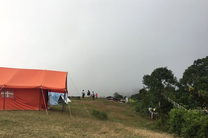 Australian Camp and Dhampus easy hiking - What the Reviews Say