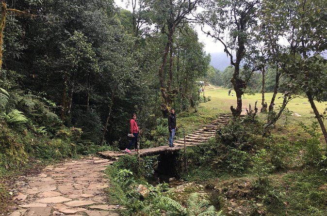 Australian Camp and Dhampus easy hiking - Why Choose This Tour?
