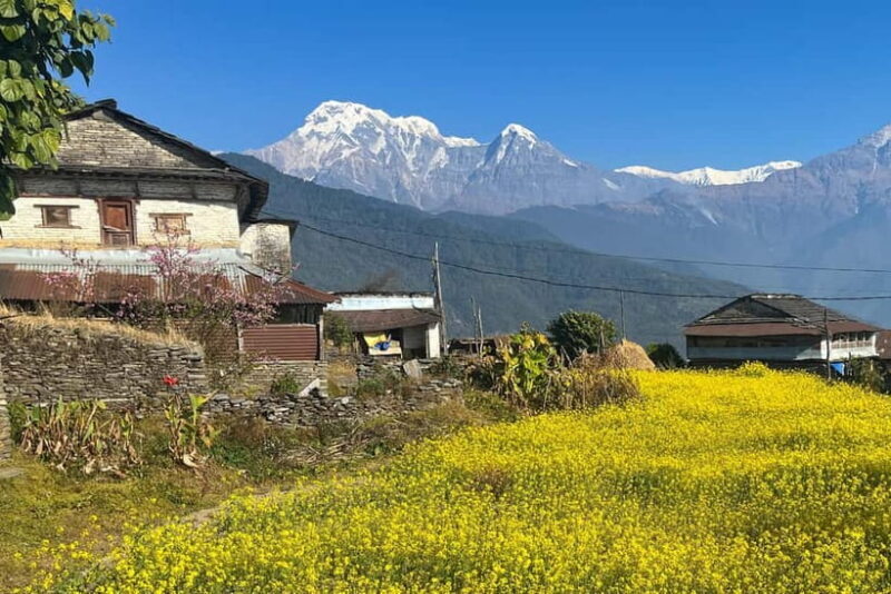 Australian Camp & Dhampus: 2-Day Private Trekking Tour - An In-Depth Look at Your Himalayan Adventure