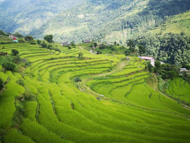 Australian Camp & Dhampus: 2-Day Private Trekking Tour - Cost and Value