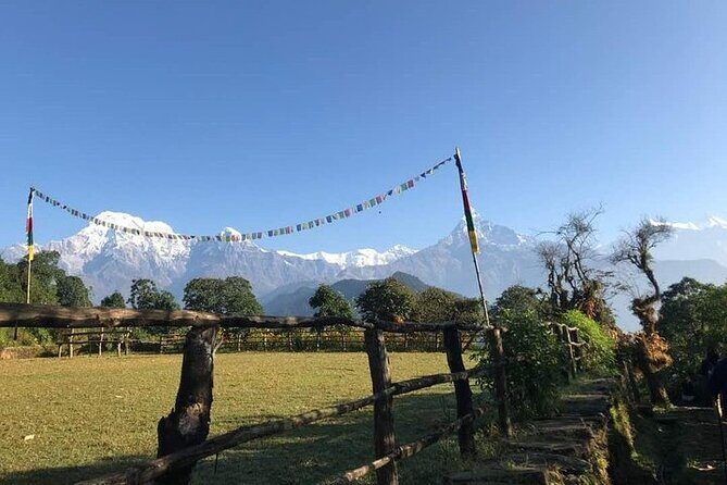 Australian Camp Trek - A beautiful short day hike from Pokhara - Reviews Highlighting the Experience