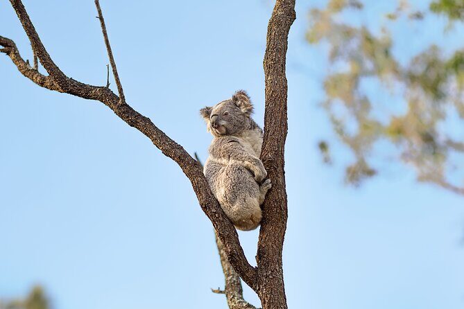 Australian Surfing and Camping Tours - Who Will Love This Tour?
