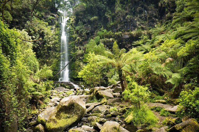 Australias Great Ocean Road Self-Guided Driving Audio Tour - The Route and Stops: What to Expect