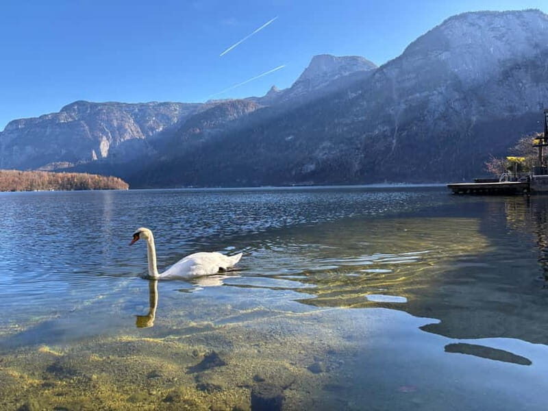 Austria: Hallstatt and Salzburg Tour with Wine Tasting - Key Points