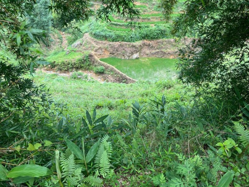 AUTHENIC 2D1N Trek & Bungalow Retreat with Dinh Hmong Family - Authentic Experiences That Travelers Rave About