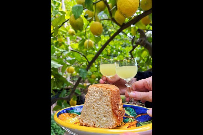 Authentic Amalfi Lemon Tour & Tasting in the Historical Garden - Key Points